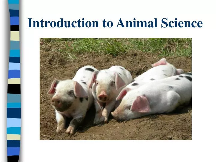 PPT - Introduction to Animal Science PowerPoint Presentation, free ...