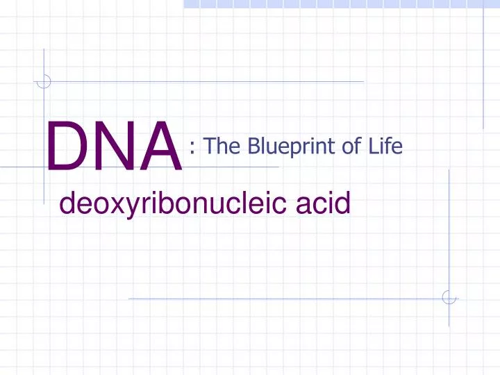 PPT - DNA PowerPoint Presentation, free download - ID:6386478