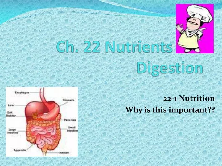 PPT - Ch. 22 Nutrients and Digestion PowerPoint Presentation, free ...