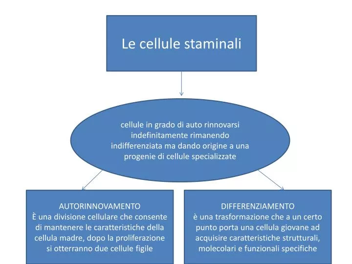 PPT - Le cellule staminali PowerPoint Presentation, free download - ID ...