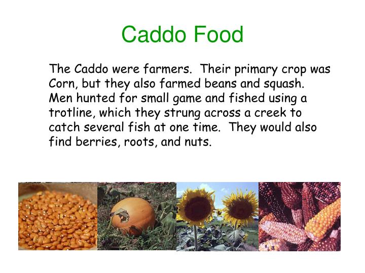 PPT - Name of Tribe PowerPoint Presentation - ID:6386960