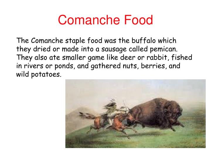 PPT - Name of Tribe PowerPoint Presentation - ID:6386960