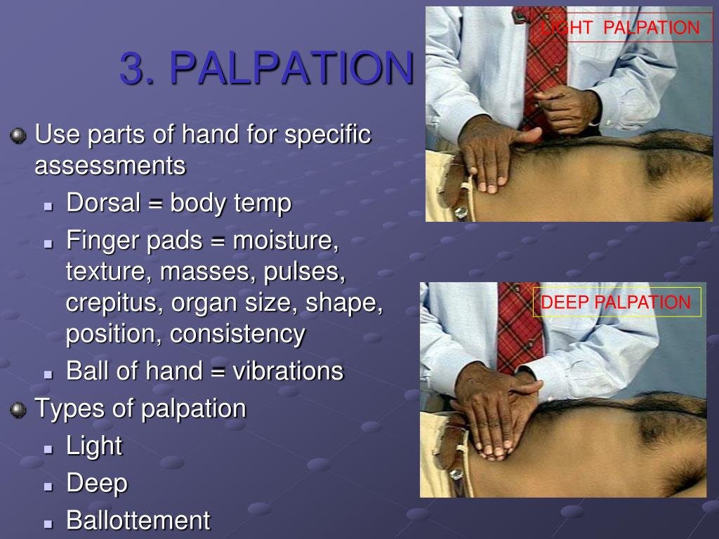 PPT - PEMERIKSAAN FISIK UNTUK PERAWAT PowerPoint Presentation, free ...
