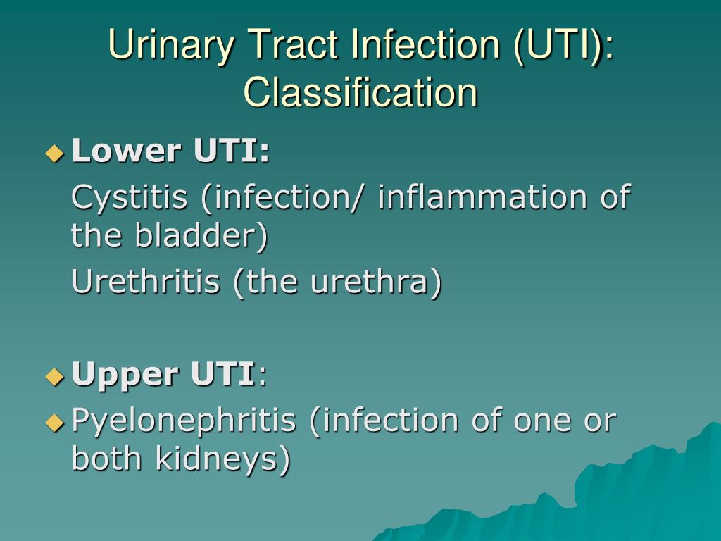 PPT - Adult Medical-Surgical Nursing PowerPoint Presentation, free ...