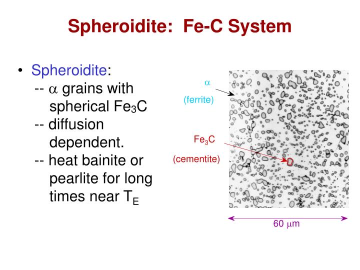 PPT - Chapter 10: Phase Transformations PowerPoint Presentation - ID ...