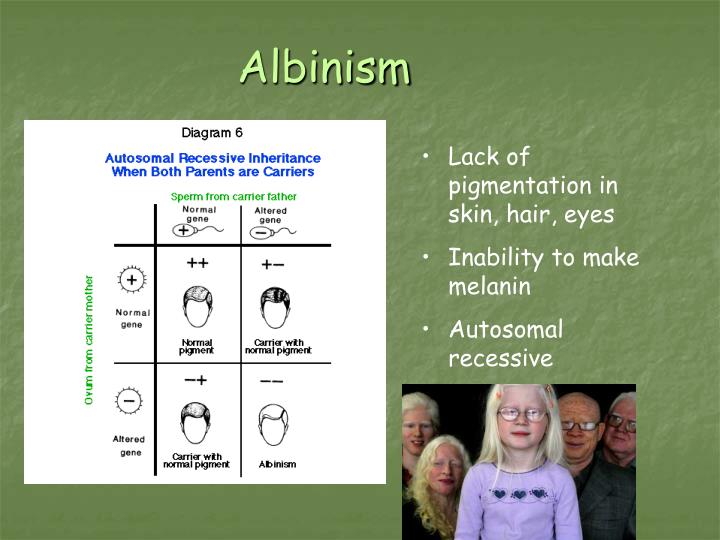 PPT - Genetic Disorders PowerPoint Presentation - ID:6387428