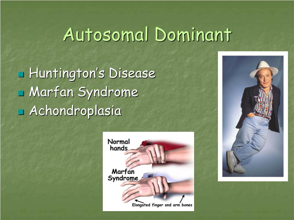 Ppt Genetic Disorders Powerpoint Presentation Free Download Id 6387428