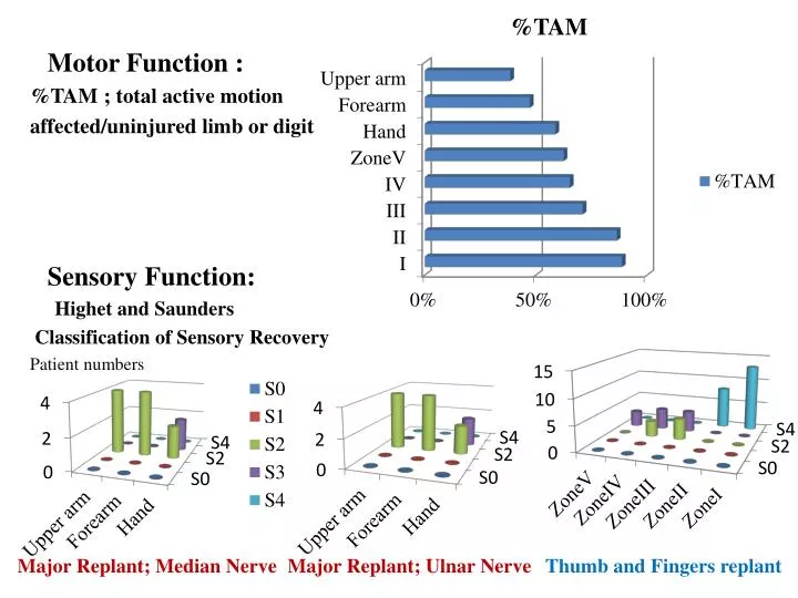 PPT - Motor Function : %TAM ; total active motion affected/uninjured ...