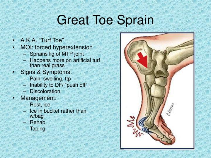PPT - FOOT, ANKLE AND LOWER LEG PowerPoint Presentation - ID:6387919