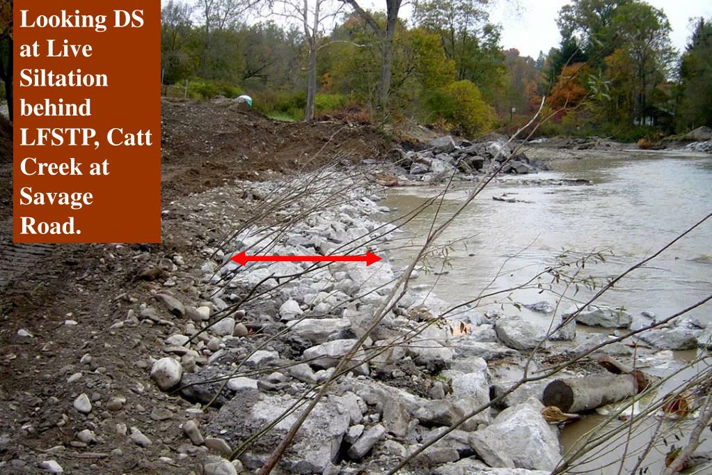 PPT - LONGITUDINAL PEAKED STONE TOE PROTECTION {LPSTP} PowerPoint ...