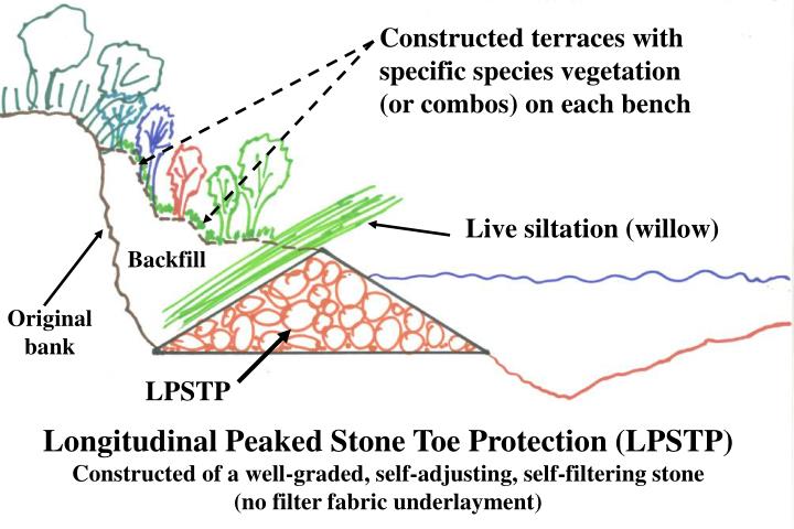 PPT - LONGITUDINAL PEAKED STONE TOE PROTECTION {LPSTP} PowerPoint ...