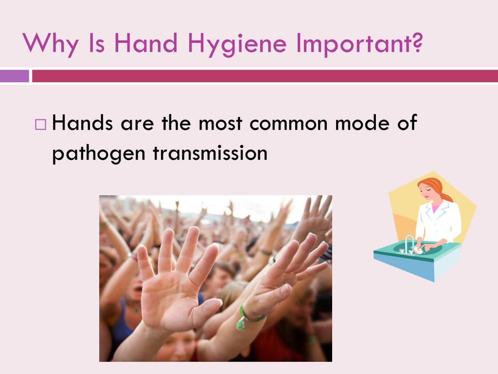 Ppt Hand Hygiene Powerpoint Presentation Free Download Id 6389919