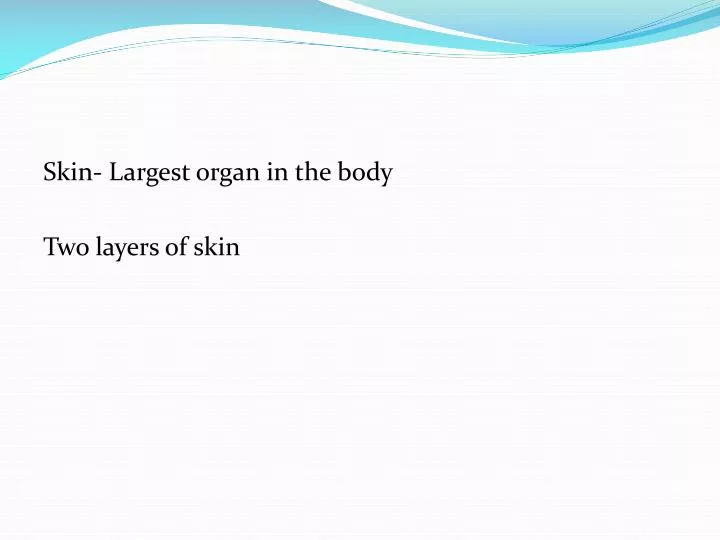 PPT - Skin- Largest organ in the body Two layers of skin PowerPoint ...