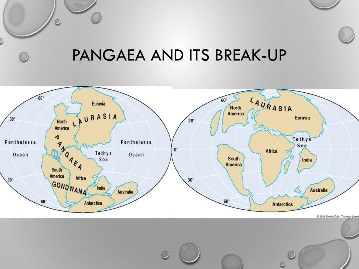 PPT - Sea Floor Spreading and Continental Drift PowerPoint Presentation ...