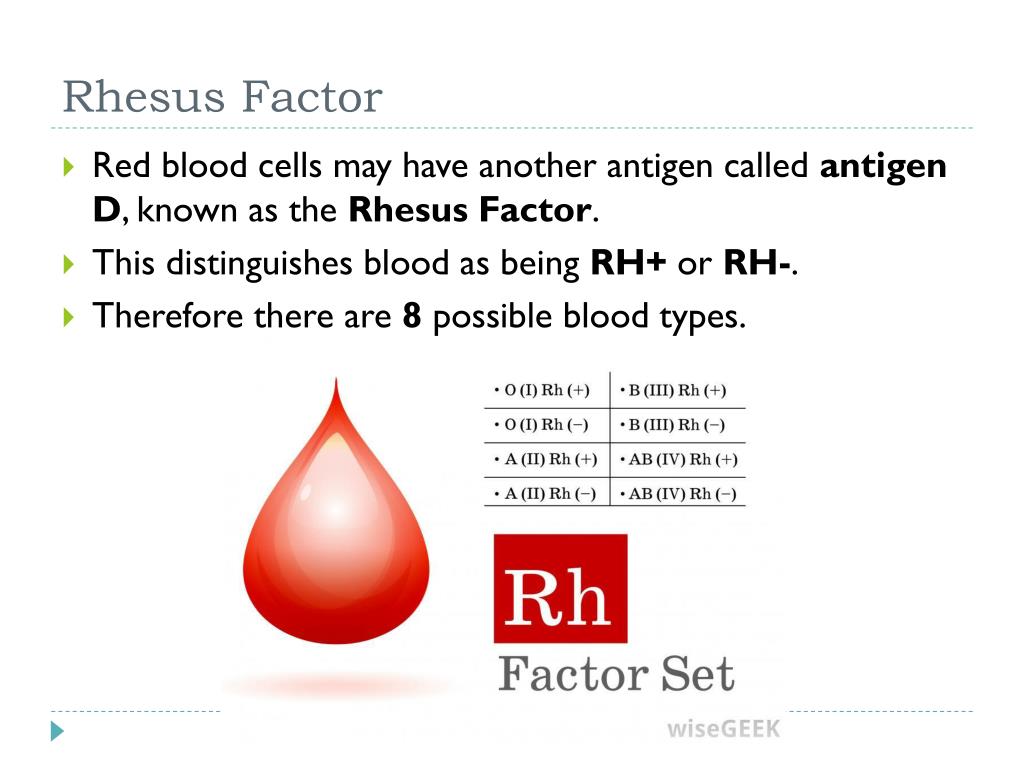 PPT - Human Biology: Circulatory System PowerPoint Presentation, free ...