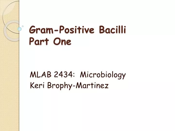 PPT - Gram-Positive Bacilli Part One PowerPoint Presentation, free ...