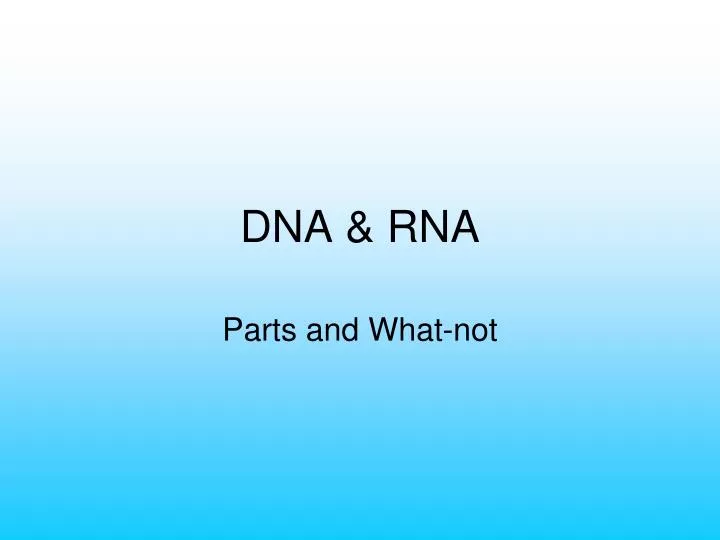 PPT - DNA & RNA PowerPoint Presentation, free download - ID:6390915