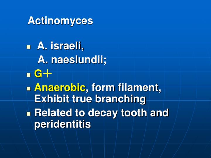 PPT - Actinomyces and Nocardia PowerPoint Presentation - ID:6391123