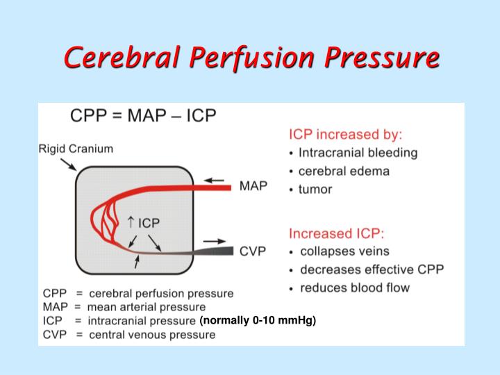 PPT - Cerebral Blood Flow PowerPoint Presentation - ID:6391801