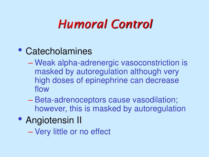 PPT - Cerebral Blood Flow PowerPoint Presentation - ID:6391801