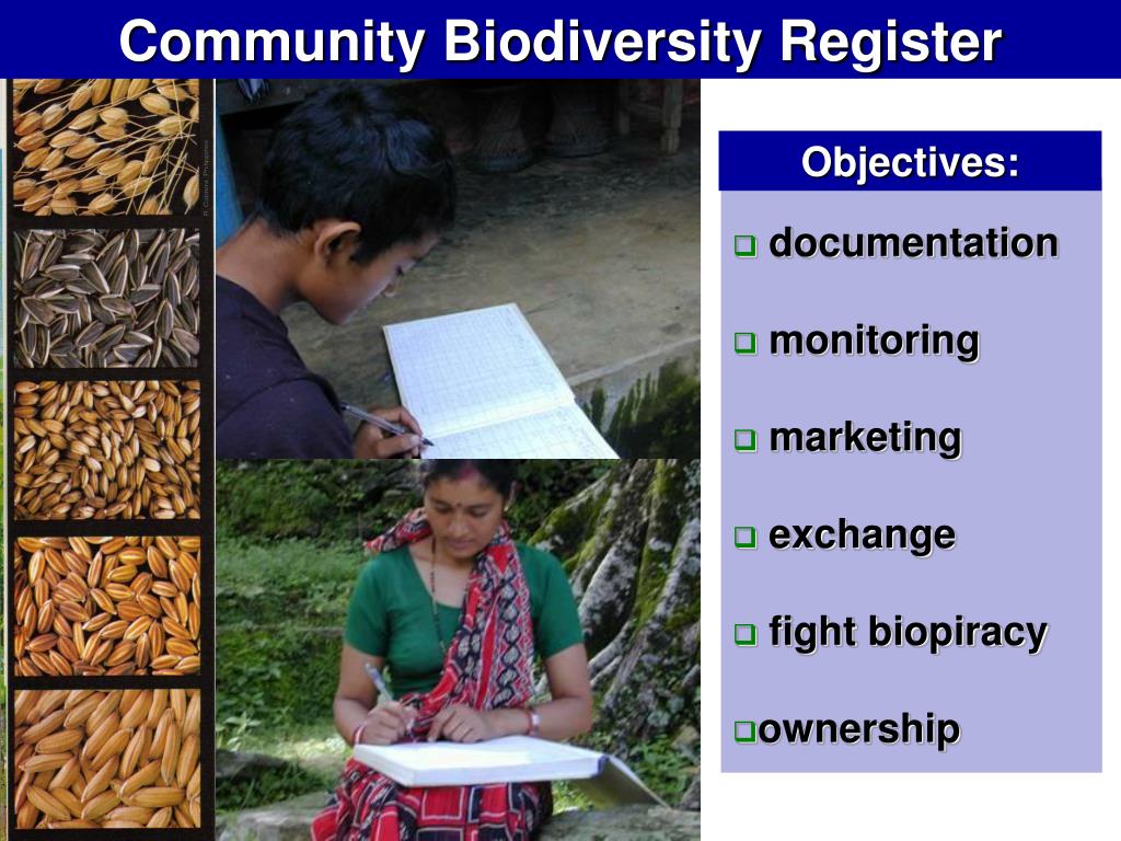 PPT - Approaching & Engaging the Community: Community Biodiversity ...