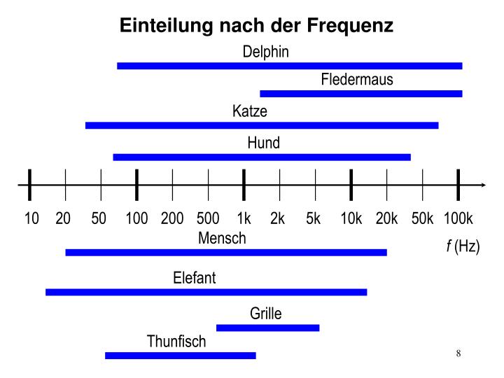 PPT - Schall und Gehör PowerPoint Presentation - ID:6392239