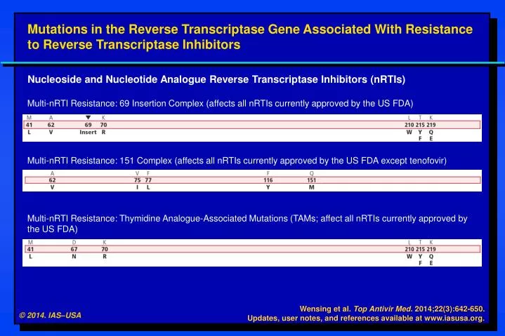 PPT - Nucleoside and Nucleotide Analogue Reverse Transcriptase ...
