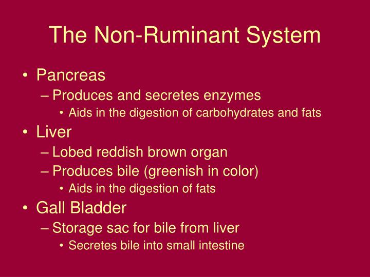 PPT - Non-Ruminant Digestion PowerPoint Presentation - ID:6393389
