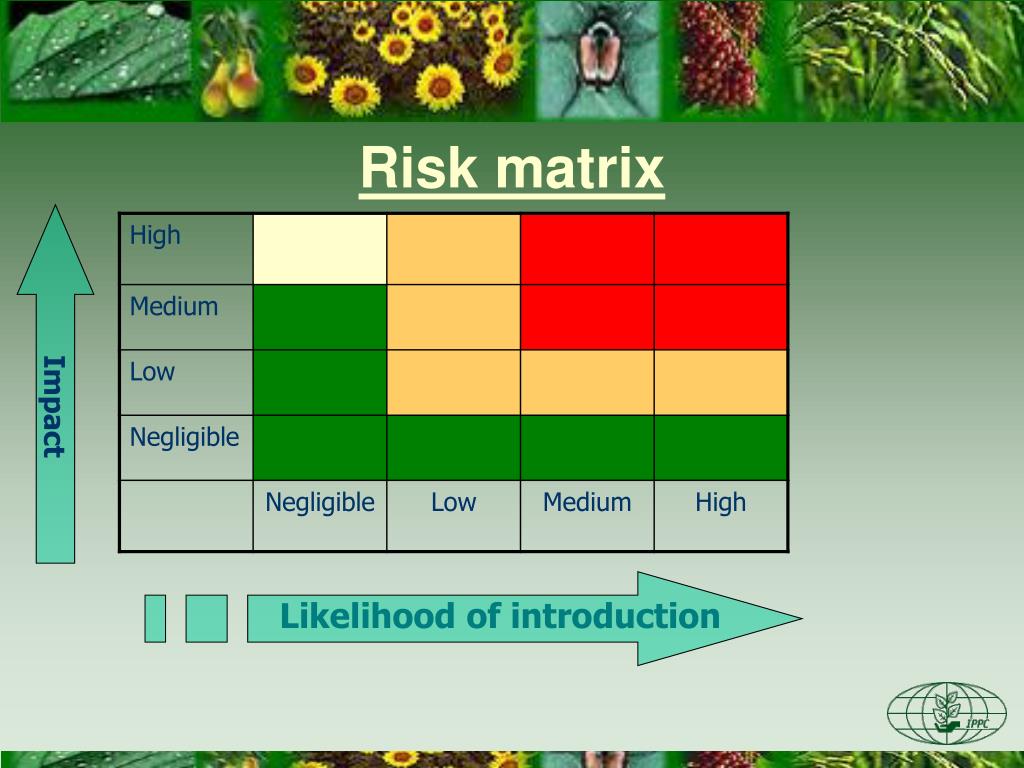 PPT - Pest Risk Analysis (PRA) Stage 2: Pest Risk Assessment PowerPoint ...