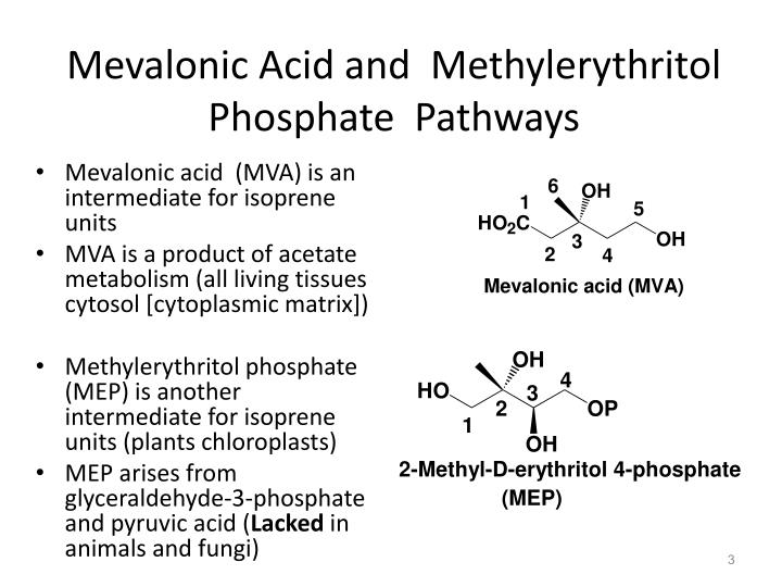 PPT - Mevalonic Acid Pathway PowerPoint Presentation - ID:6394140