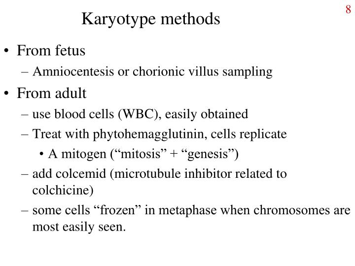 PPT - Important terminology PowerPoint Presentation - ID:6394184