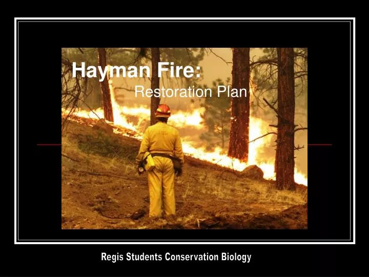 PPT - Restoration Plan PowerPoint Presentation, free download - ID:6395671