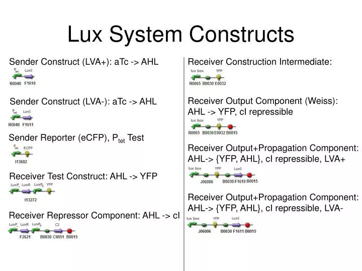 PPT - Lux System Constructs PowerPoint Presentation, free download - ID ...