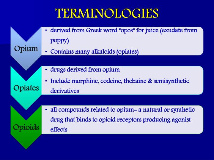 PPT - OPIOID ANALGESICS PowerPoint Presentation - ID:6396174