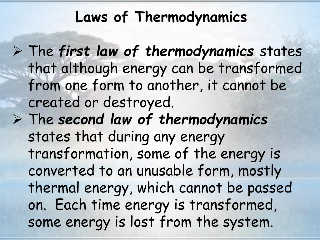 PPT - Biology 20 Unit A: Energy and Matter Exchange in the Biosphere ...