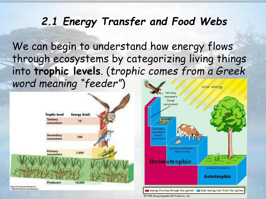 PPT - Biology 20 Unit A: Energy and Matter Exchange in the Biosphere ...