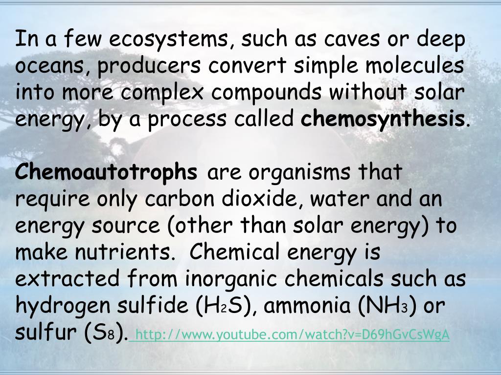 PPT - Biology 20 Unit A: Energy and Matter Exchange in the Biosphere ...