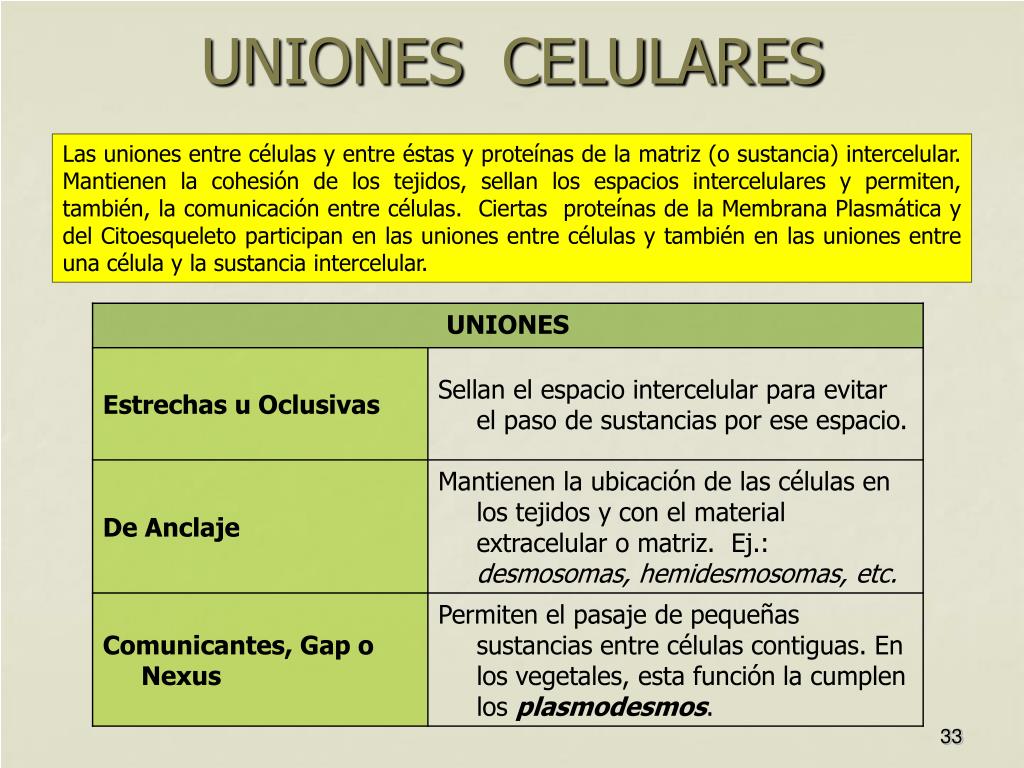PPT - Unidad 5 PowerPoint Presentation, free download - ID:6400203