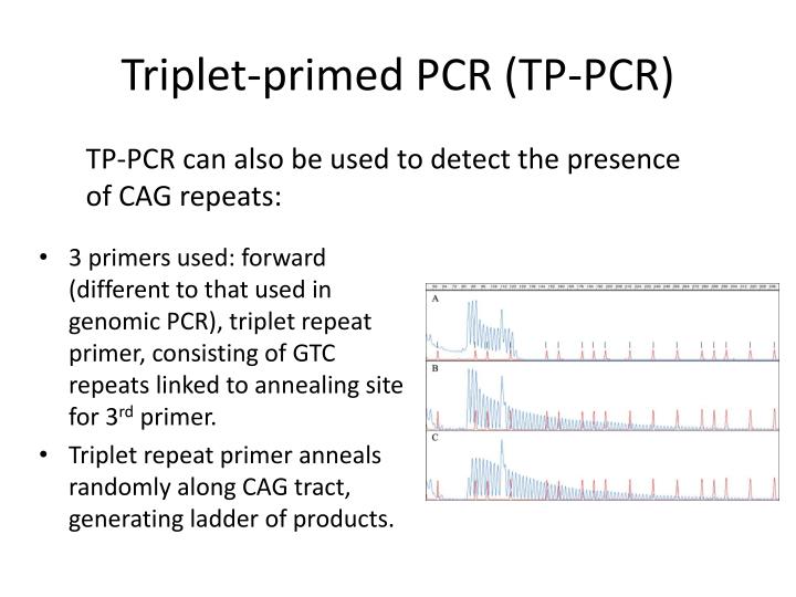 PPT - Dynamic mutations PowerPoint Presentation - ID:6400359