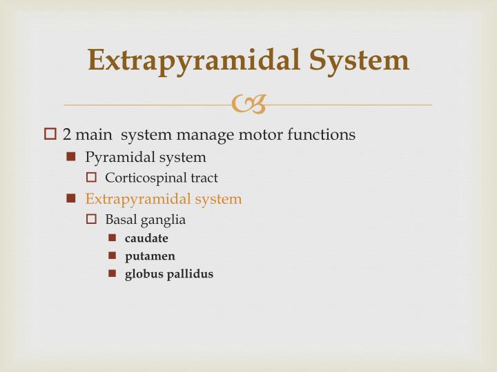 PPT - EXTRAPYRAMIDAL SYSTEM and BASAL GANGLIA PowerPoint Presentation ...