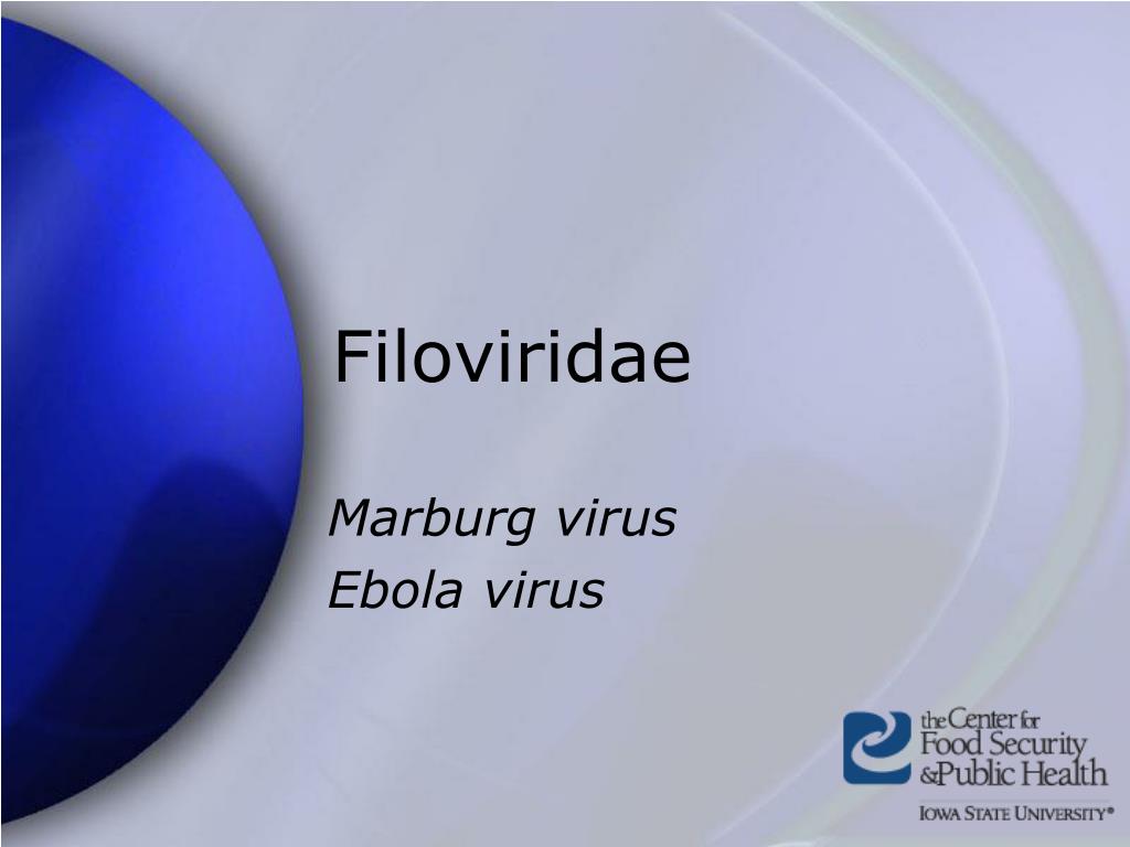 PPT - Viral Hemorrhagic Fever PowerPoint Presentation, free download ...