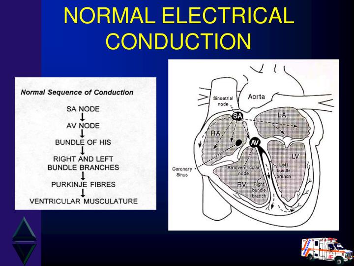 PPT - CARDIAC ARREST MANAGEMENT PowerPoint Presentation - ID:6403703