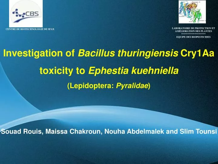 PPT - Investigation of Bacillus thuringiensis Cry1Aa toxicity to ...