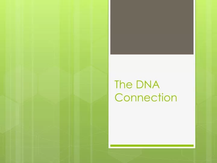 PPT - The DNA Connection PowerPoint Presentation, free download - ID ...