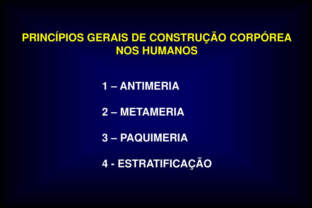 PPT - INTRODUÇÃO AO ESTUDO DA ANATOMIA PowerPoint Presentation, free ...