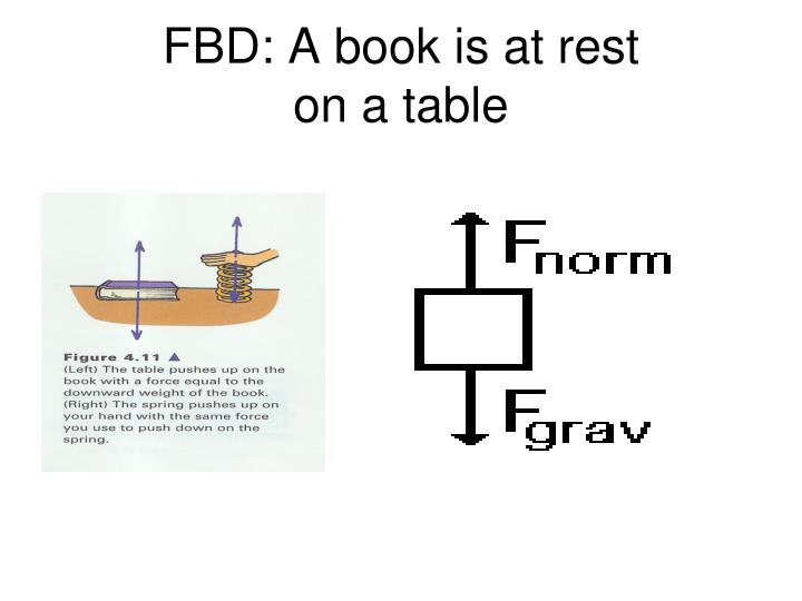 PPT - Forces and Newton’s Laws of Motion PowerPoint Presentation - ID ...