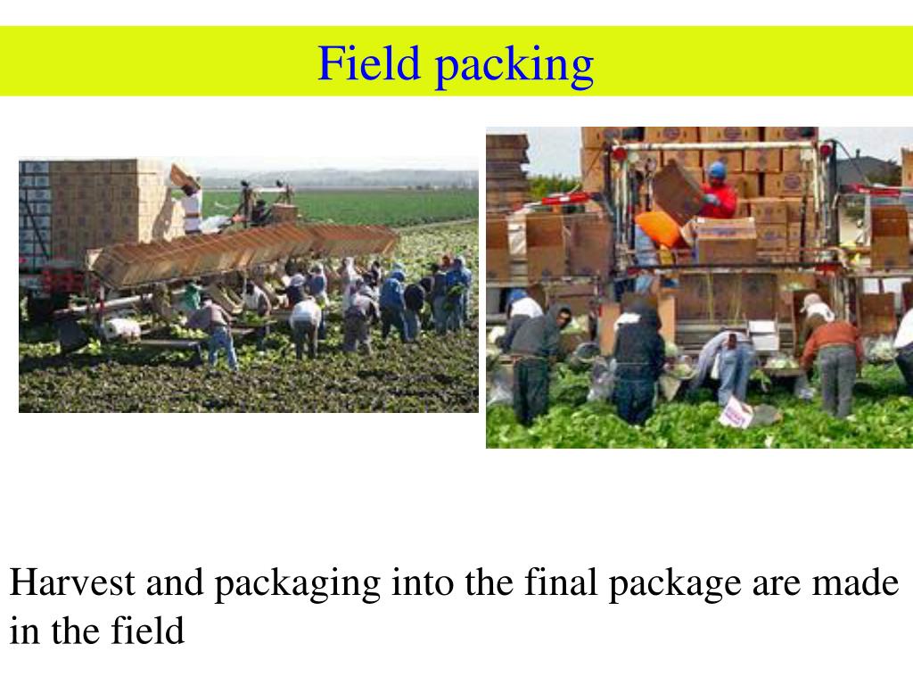 PPT - State of Israel Ministry of Agriculture and Rural Development ...