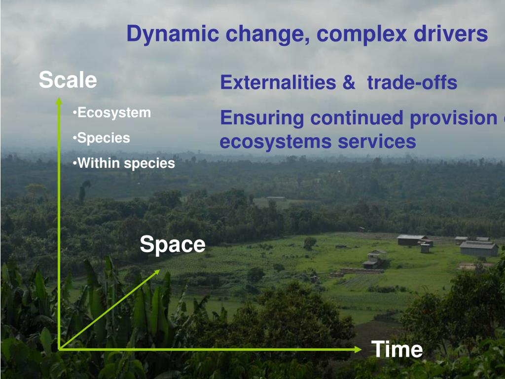 PPT - Agrobiodiversity in food systems, ecosystems and education ...