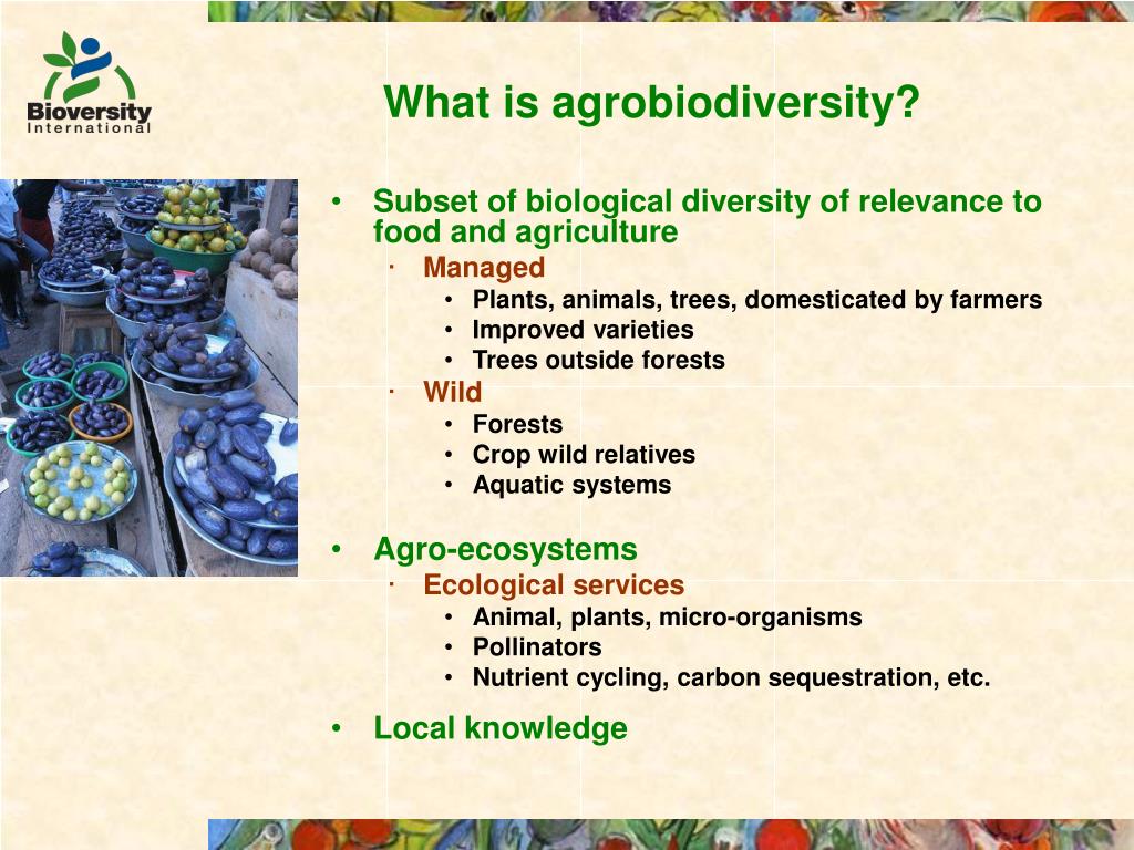 PPT - Agrobiodiversity in food systems, ecosystems and education ...