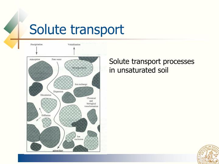PPT - Soil physics PowerPoint Presentation - ID:6406211